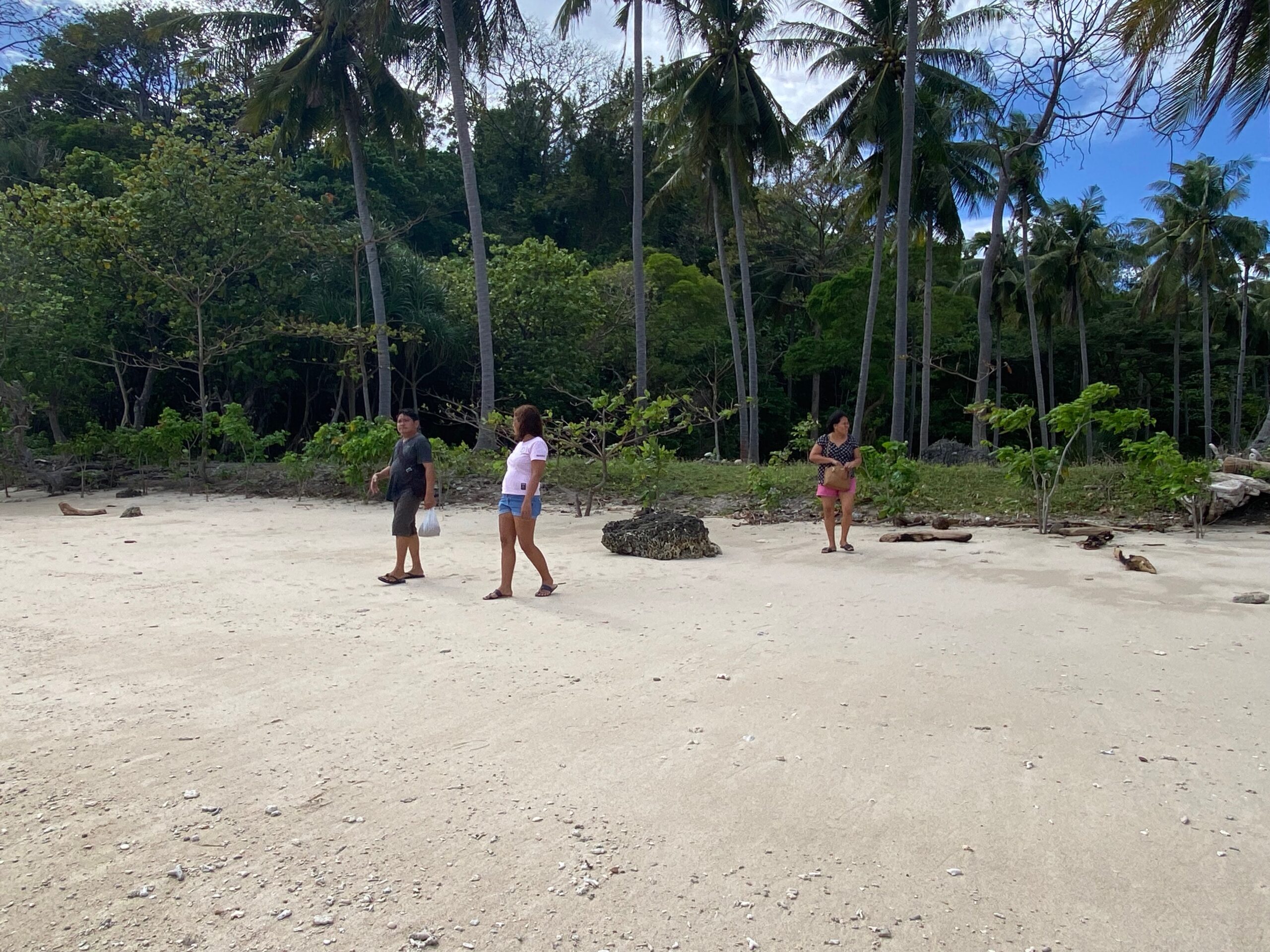 Beach Lot in Andulay, Siit, Siaton – nomascorp