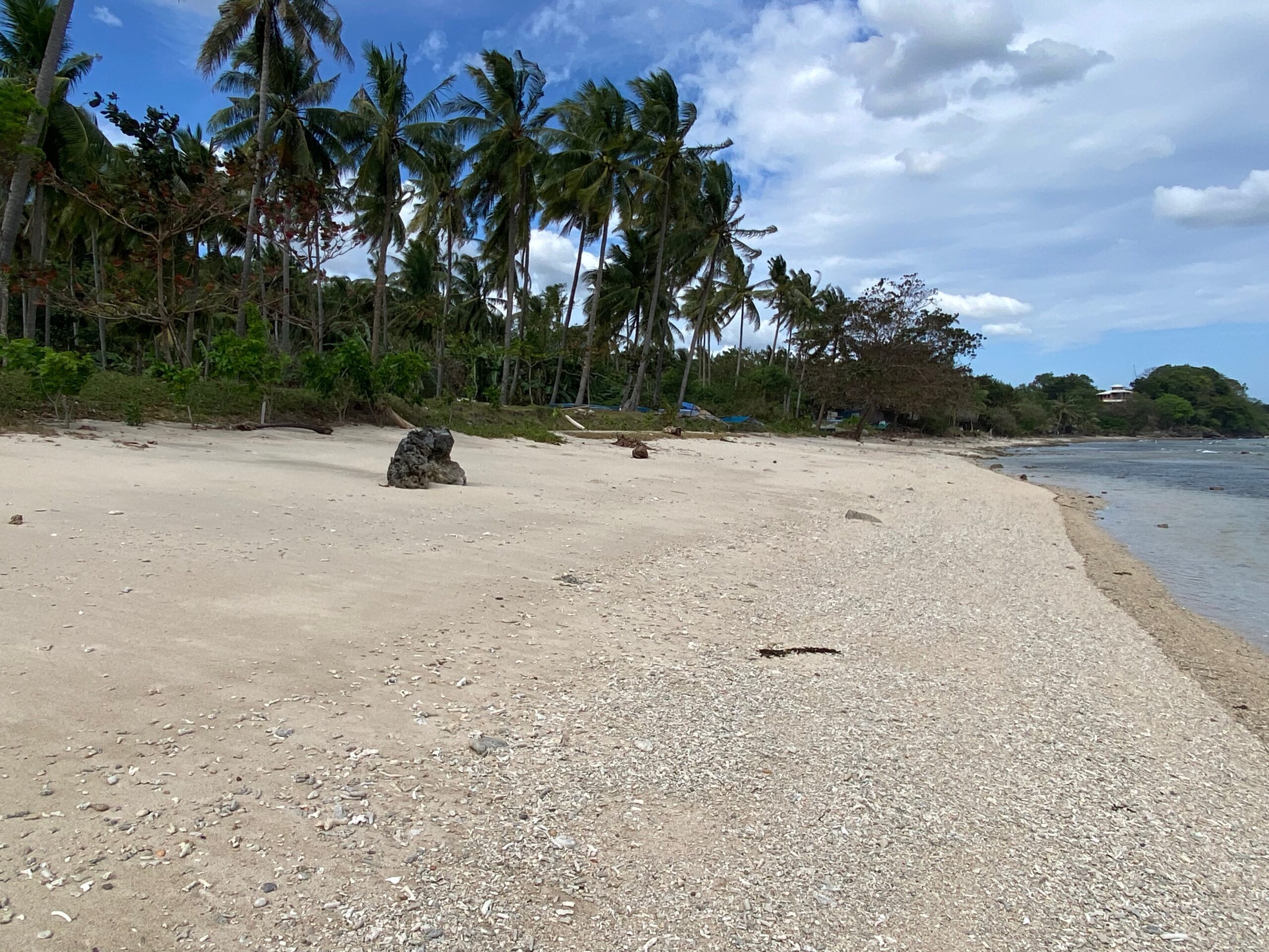 Beach Lot in Andulay, Siit, Siaton – nomascorp