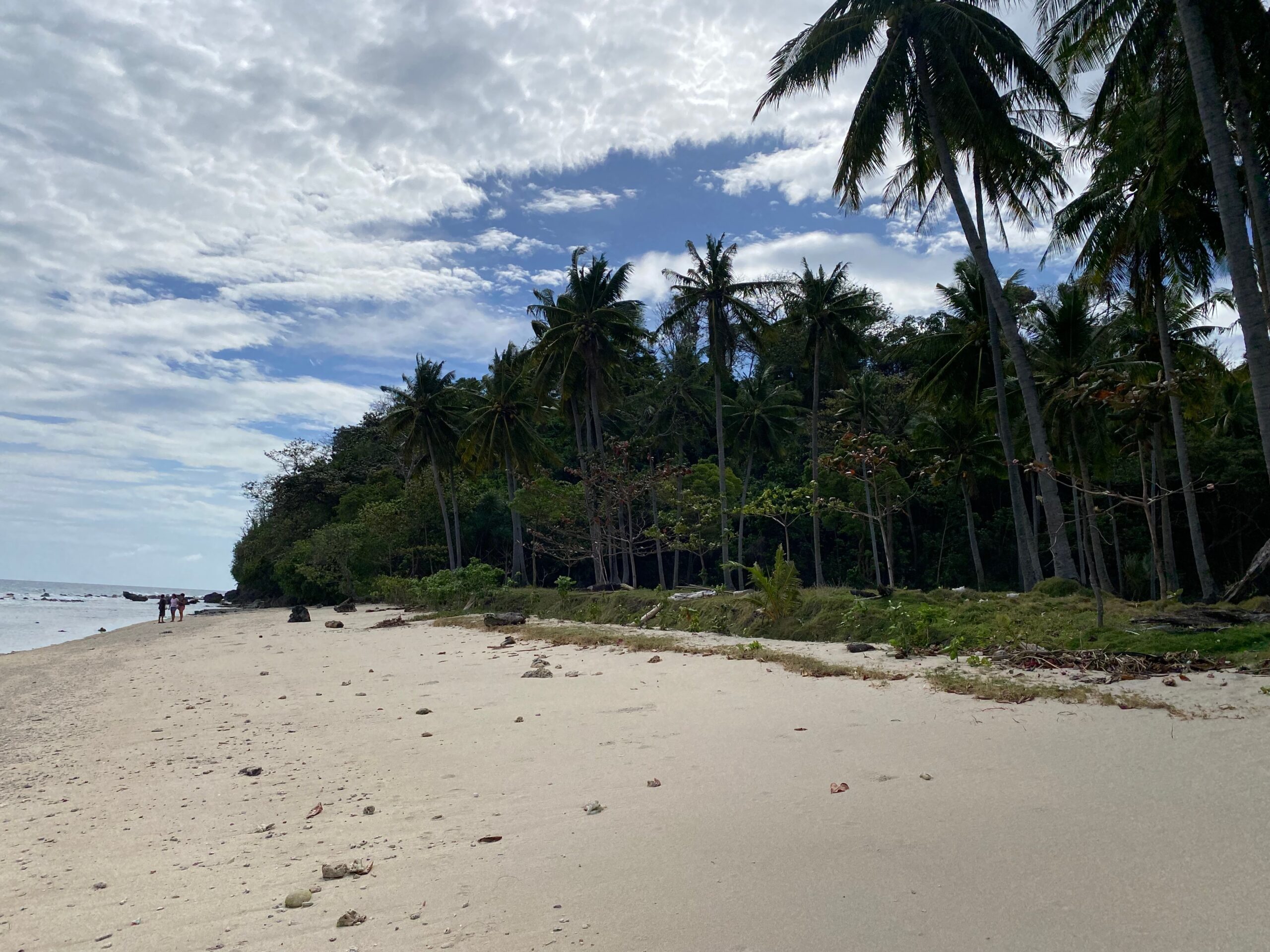 Beach Lot in Andulay, Siit, Siaton – nomascorp