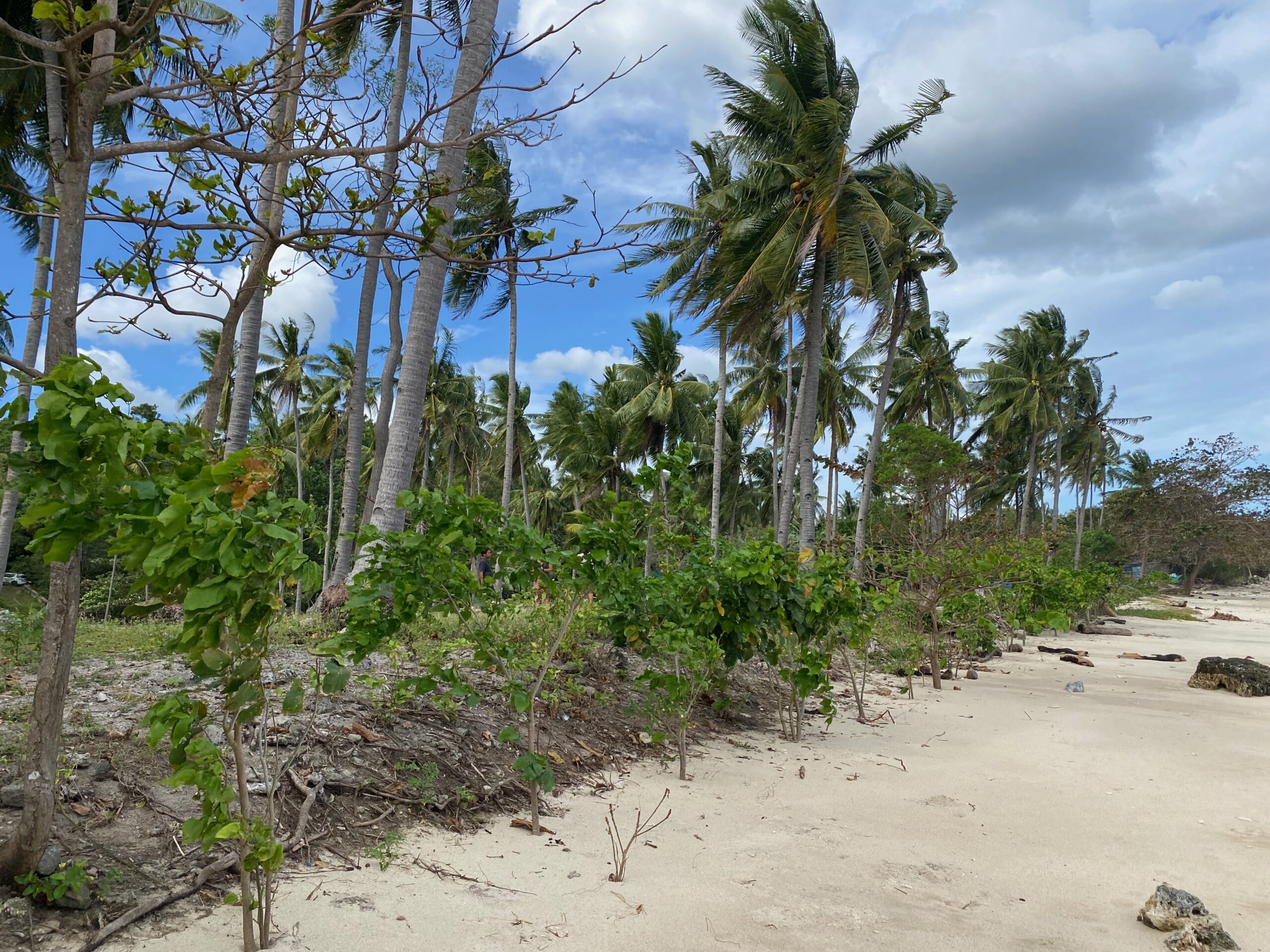 Beach Lot in Andulay, Siit, Siaton – nomascorp